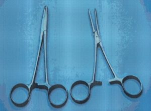 Perdeby Experience: Anatomy Dissection , PDBY